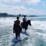 Bali Horse Riding Trot & Canter Saba Beach with Local Temple - Practical Details and Value