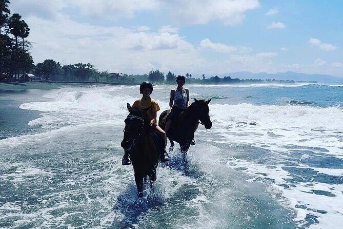 Bali Horse Riding Trot & Canter Saba Beach with Local Temple - Practical Details and Value