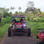 Bali UTV Buggy Adventure Ubud - Who Will Love This Tour?