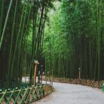 Bamboo Village & Cycling Tour in Wayanad - In-Depth Look at the Itinerary