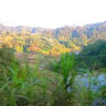 Banaue Rice terraces adventure (3 days 2 nights) from Manila*** - Authentic Encounters and Scenic Highlights