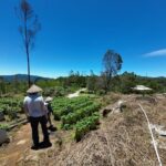 Bandung Volcano Sightseeing and Hot Spring Private Tour - Transport, Guides, and Practicalities