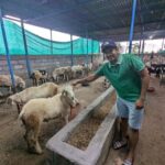 Bangalore: Big Barn Farm Visit with Animal Interactions - The Experience Breakdown