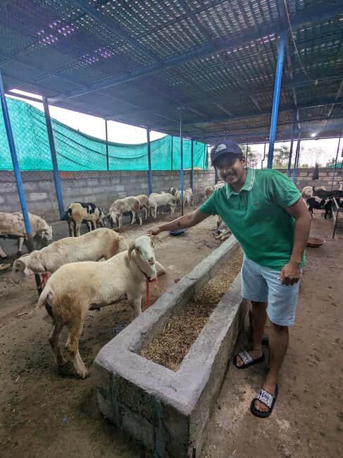 Bangalore: Big Barn Farm Visit with Animal Interactions - The Experience Breakdown