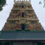 Bangalore: Private Full-Day Tour with Lunch & Tickets - Practicalities and Value