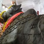 Bangalore: Private Half-Day Sightseeing Tour - Analyzing the Value and Suitability