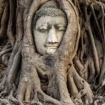 Bangkok Ayutthaya VIP Day Trip with Boat Ride and Guide - Who Will Love This Tour?