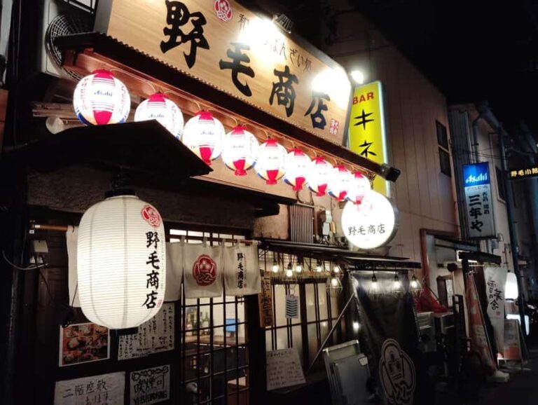 Bar Hopping in Noge: Yokohamas Historic Drinking District - Who Will Love This Tour?