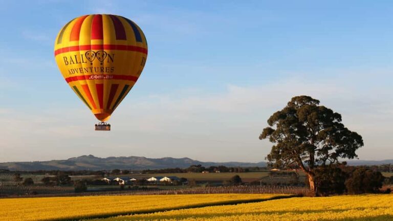 Barossa Valley: Hot Air Balloon Flight - What the Flight Feels Like