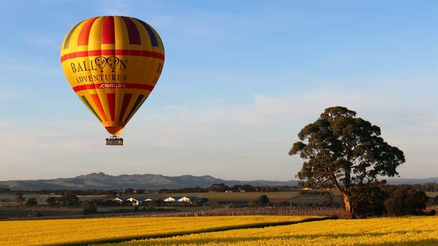 Barossa Valley: Hot Air Balloon Flight - What the Flight Feels Like