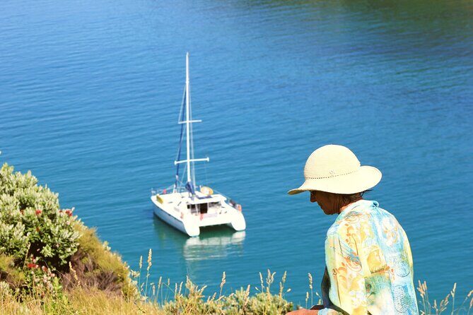 Bay of Islands: Day Sailing Cruise with Island Stop and Lunch - Practical Details and Value