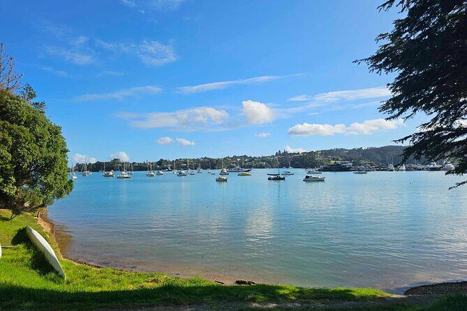 Bay of Islands - Mini Tour: (75-90mins) - Who Will Love This Tour?