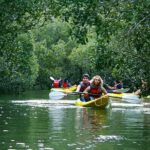 Bay of islands Waterfall Cruise Kayaking Tour - The Value of the Tour
