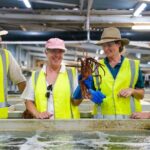 Behind-The-Scenes Ocean Harvest Tour - A Closer Look at the Tour Experience