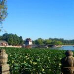 Beijing Private Tour with Temple of Heaven, Forbidden City and Summer Palace - Authentic Experiences and Practical Tips