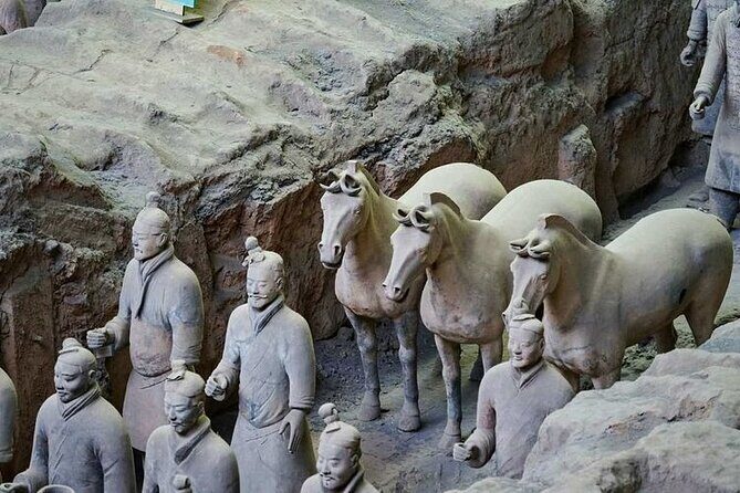 Beijing to Xi'an Terracotta Warriors Day Trip with Bullet Train - Who This Tour Is Best For