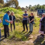 Bendigo Chinese Heritage Tour with Morning Tea Fridays - Final Thoughts: Is It Worth It?