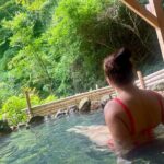 Beppu Private Tour - Onsen Experience in nature - Detailed Itinerary Breakdown