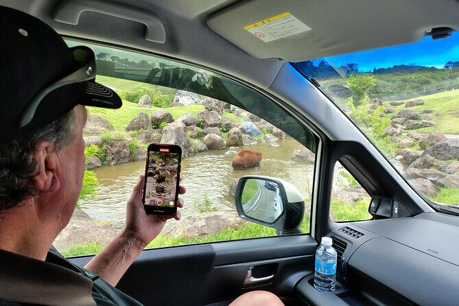 Beppus Best: African Safari and Beppu Hells Private Tour - In-depth breakdown of the itinerary