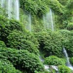 Best Lombok Rice Terrace Walking Tour With Waterfall & Monkey - First Stop: Aik Berik Rice Terraces