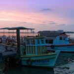 Best of Alleppey (Guided Full Day Sightseeing Tour by Car) - Who Will Love This Tour?