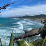 Black Sand Beaches & Birds Auckland Sightseeing Tour - Practical Details and Value