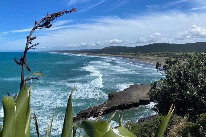 Black Sand Beaches & Birds Auckland Sightseeing Tour - Practical Details and Value