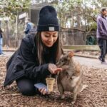 Blue Mountain Small Group Scenic World, Wildlife, Waterfall - Key Points