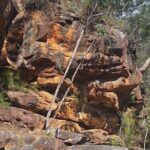 Blue Mountains 3 Hour Guided Eco Tour - close to Sydney - What Travelers Say and Why It Matters