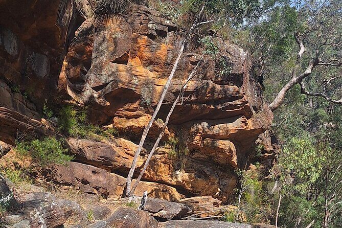 Blue Mountains 3 Hour Guided Eco Tour - close to Sydney - What Travelers Say and Why It Matters