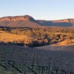Blue Mountains: Megalong Valley Wine Tasting & Lunch - Final Thoughts: Is It Worth It?