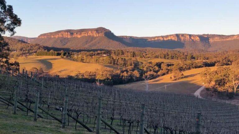 Blue Mountains: Megalong Valley Wine Tasting & Lunch - Final Thoughts: Is It Worth It?