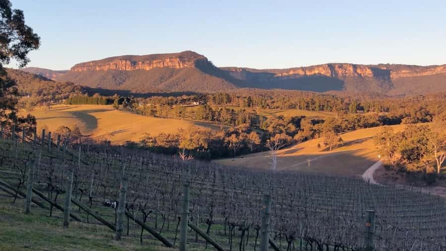 Blue Mountains: Megalong Valley Wine Tasting & Lunch - Final Thoughts: Is It Worth It?