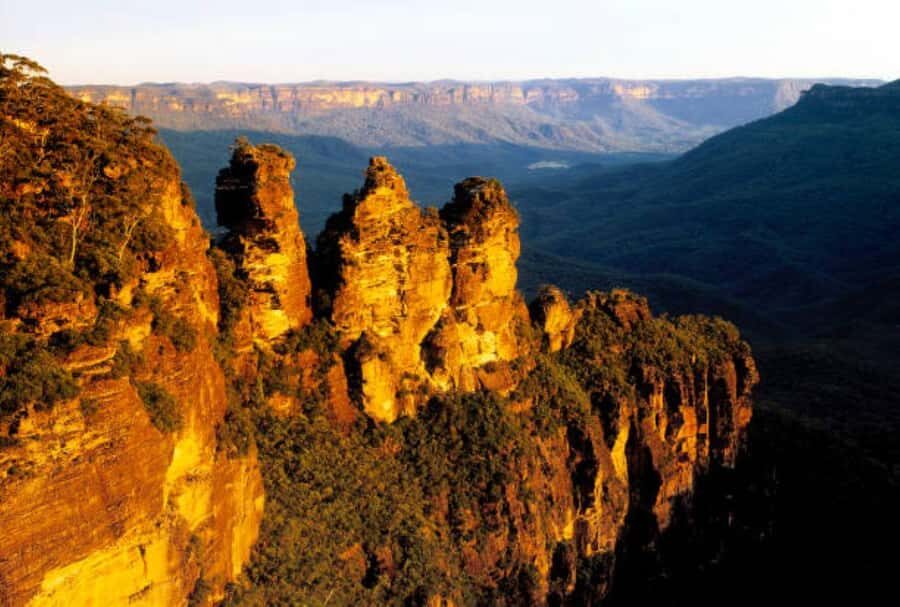 Blue Mountains, Zig Zag Railway and Botanical Gardens Tour - What Makes This Tour Stand Out
