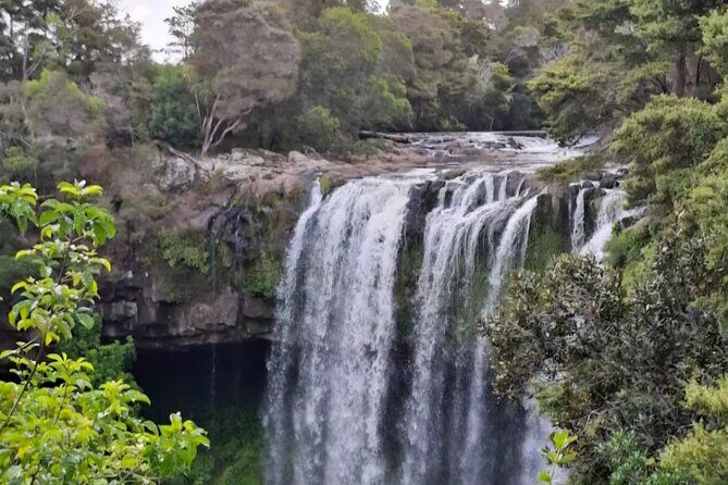 BOI Luxury Indulgence Waterfalls Heritage Wine and Chocolate - Why Travelers Find Value in This Tour