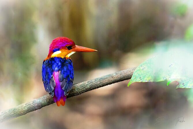 Bondla Wildlife Sanctuary with Lunch in Spice Plantation in Goa - Who Will Love This Tour?