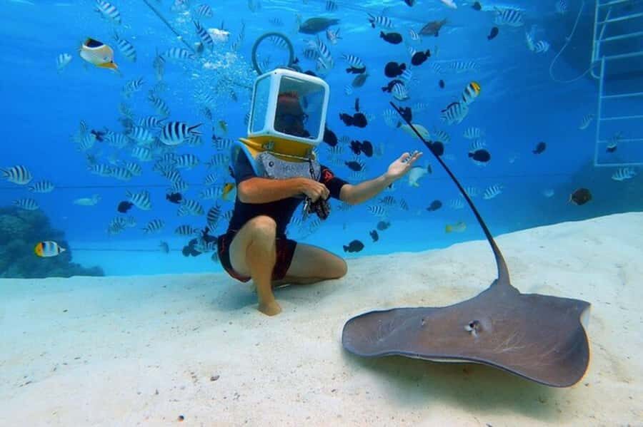 Bora Bora: Aquasafari Helmet Dive & Coral Garden Tour - Why This Tour Might Be Perfect for You