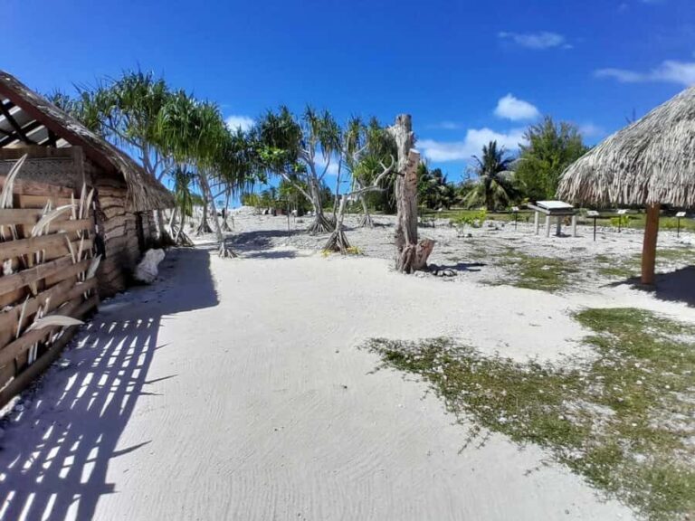 Bora Bora: Full Day in a Traditional Canoe in the Lagoon - Who Would Love This Tour?