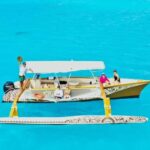 Bora Bora: Half-Day Traditional Canoe Ride in the Lagoon - What Makes This Tour Stand Out?