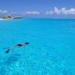 Bora Bora: Small Group Snorkeling Boat Tour with Pickup - Why This Tour Is Worth Considering