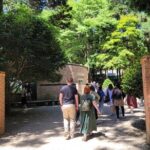 Boseong Tea Plantation & Suncheon National Garden[Train+Bus] - What’s Included and What to Consider