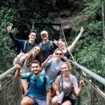 Brisbane: 6 Waterfalls, Koalas & Natural Bridge Day Tour - The Highlights in Detail