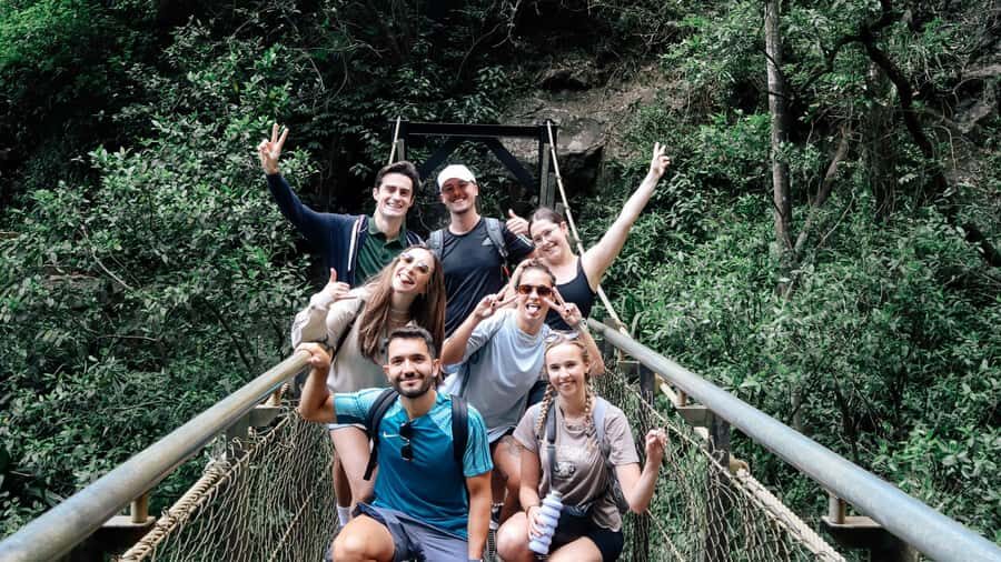 Brisbane: 6 Waterfalls, Koalas & Natural Bridge Day Tour - The Highlights in Detail