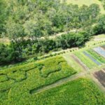 Brisbane Farm Day Trip | Ellia's Garden Scenic Rim - Itinerary Breakdown: What to Expect