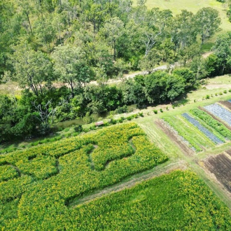 Brisbane Farm Day Trip | Ellia's Garden Scenic Rim - Itinerary Breakdown: What to Expect