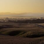 Burra Township to Mount Bryan History and Landscape Day Tour - What’s Included and What to Expect