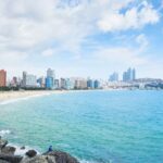 Busan: Haedong Yonggungsa Temple, Camellias Island & More - Transportation, Duration, and Value