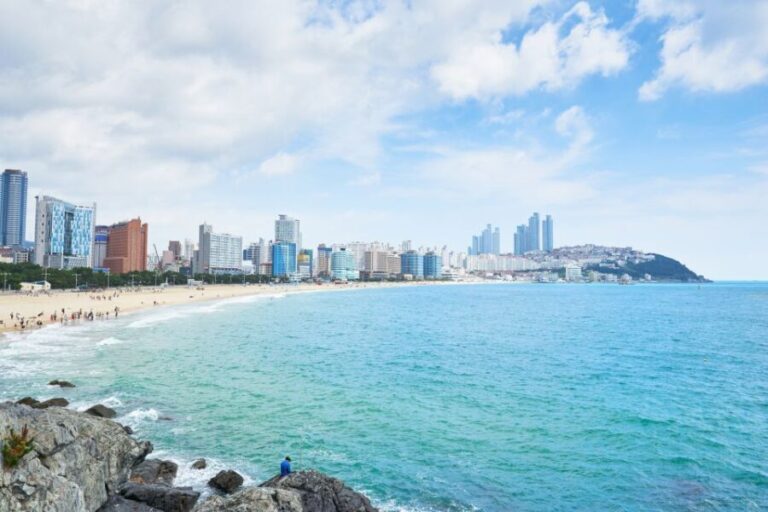 Busan: Haedong Yonggungsa Temple, Camellias Island & More - Transportation, Duration, and Value