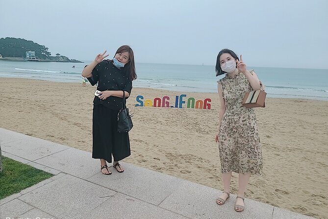 Busan shared tour up to 12 guests - The Service and Price: Is it Worth It?