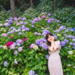 Busan: Taejongdae, Songdo Cable Car, Gamcheon Village &Beach - The Sum Up